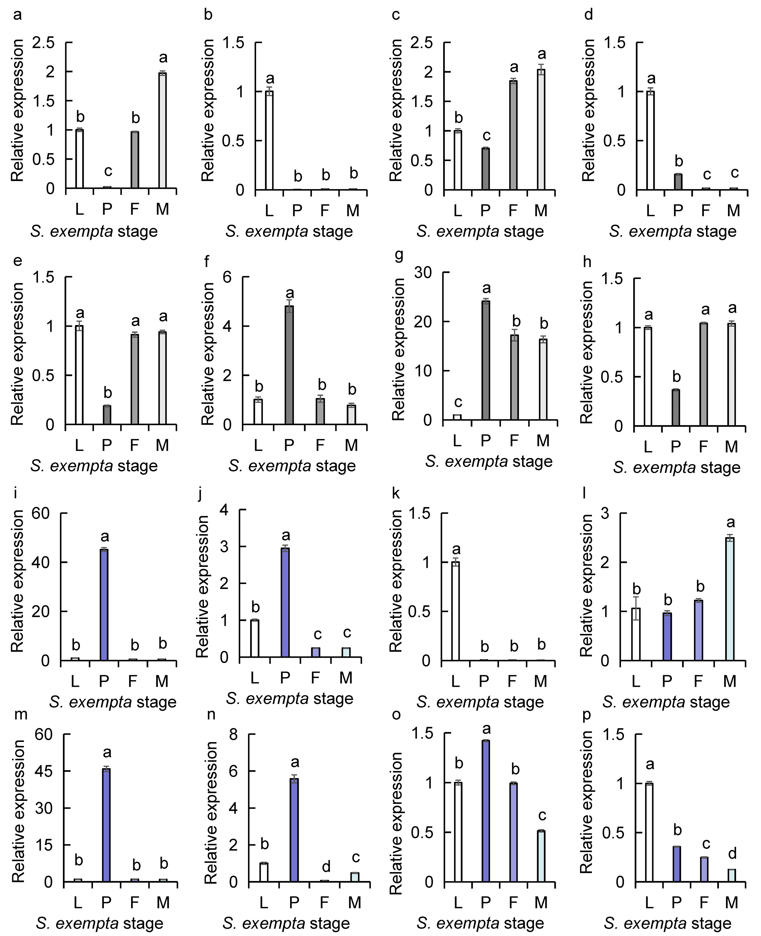 Sex And Stage Dependent Expression Patterns Of Odorant Binding And