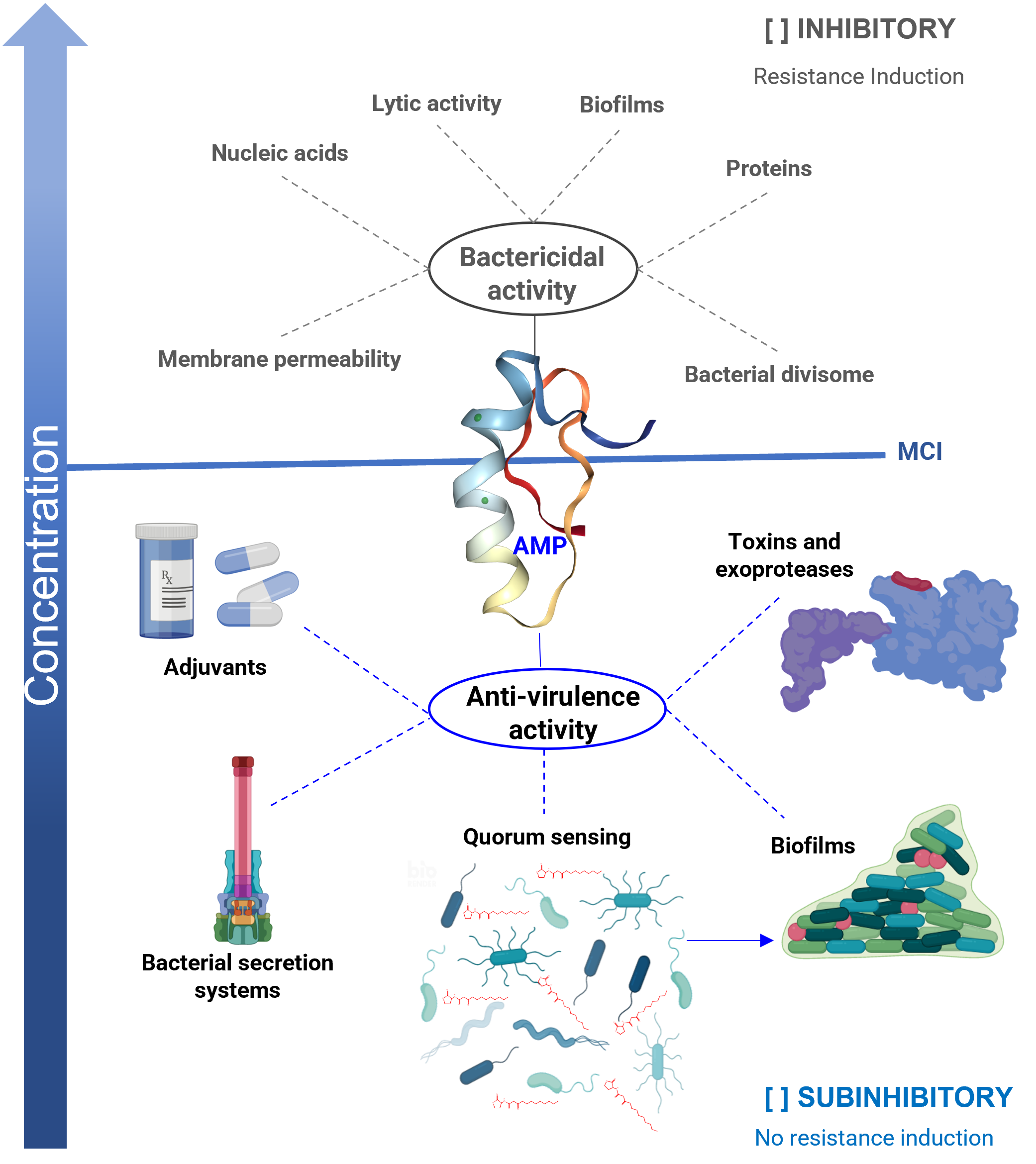 Antimicrobial Peptides Properties Beyond Growth Inhibition And