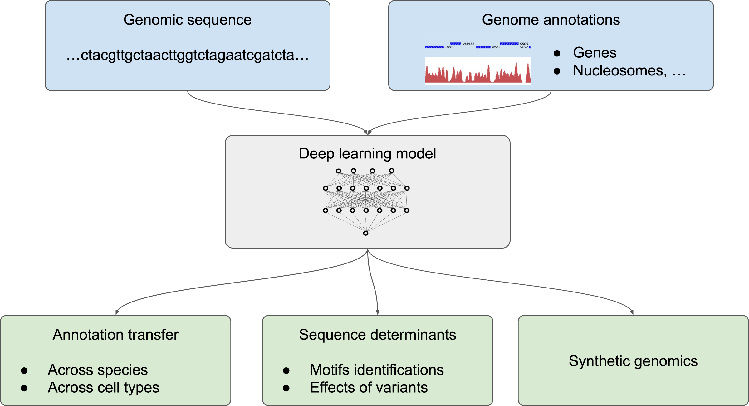 Genomics Enters The Deep Learning Era Peerj