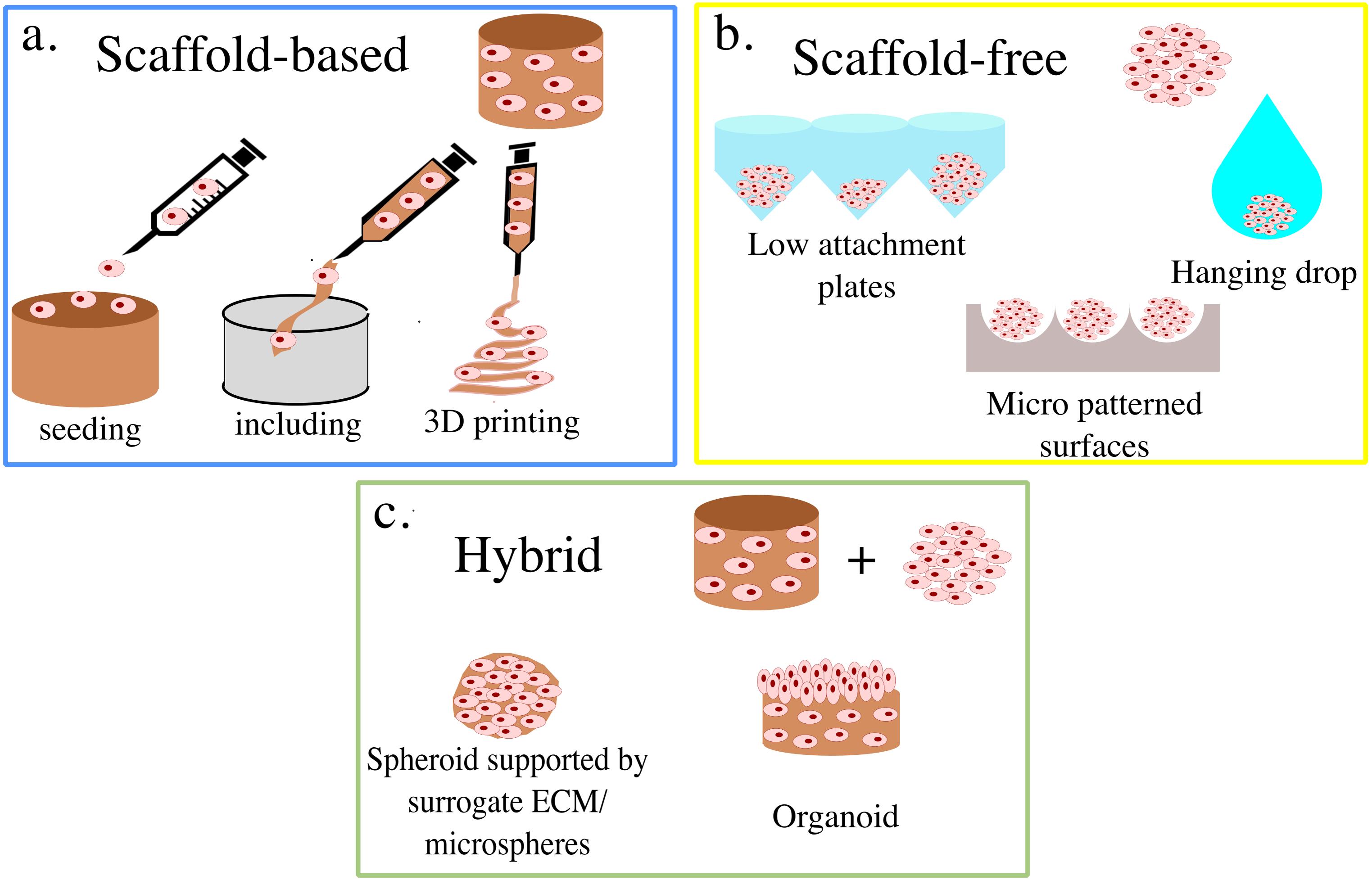 Non Destructive Monitoring Of 3d Cell Cultures New Technologies And