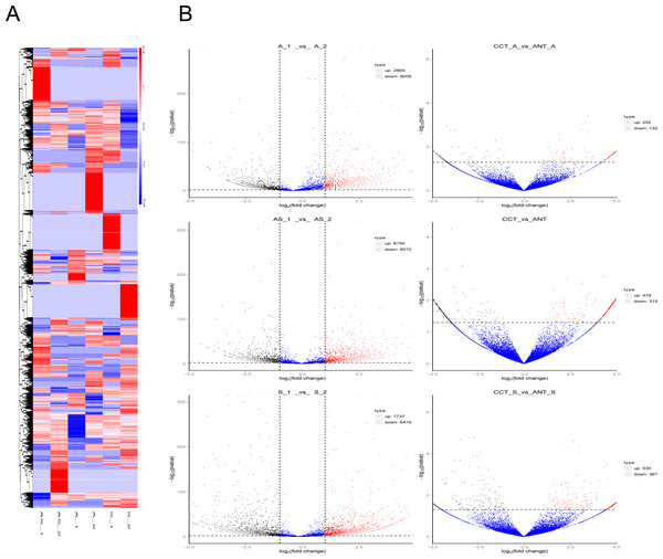 Comprehensive Profile And Contrastive Analysis Of Circular Rna