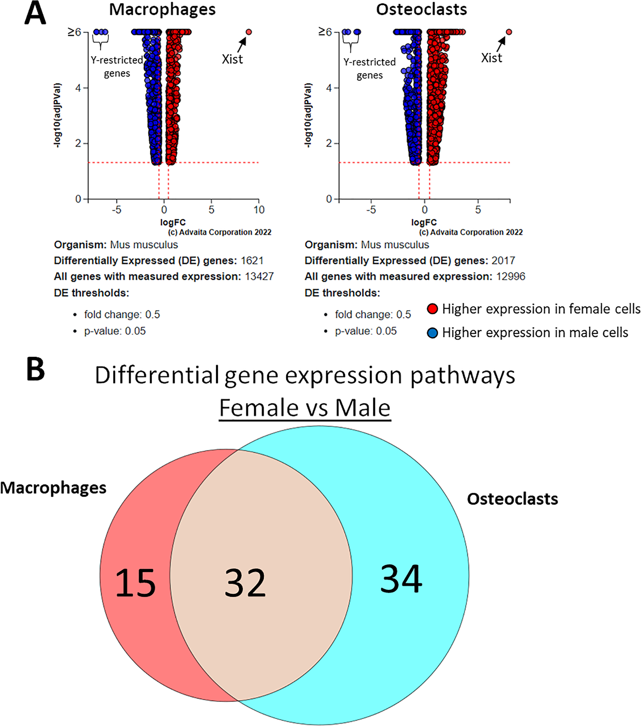 Rank Signaling In Osteoclast Precursors Results In A More Permissive