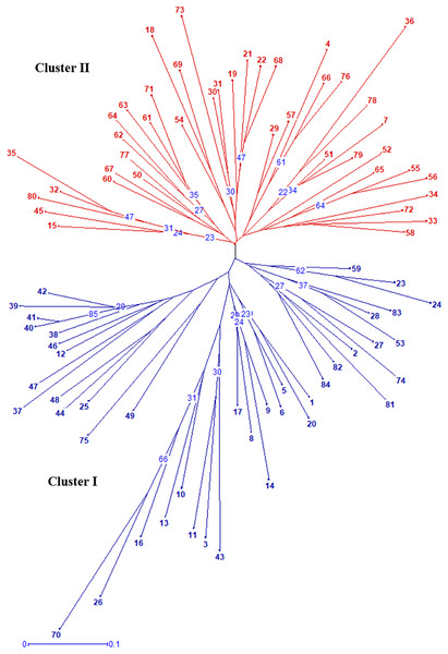 Cross Speciesgenera Transferability Of Simple Sequence Repeat Markers