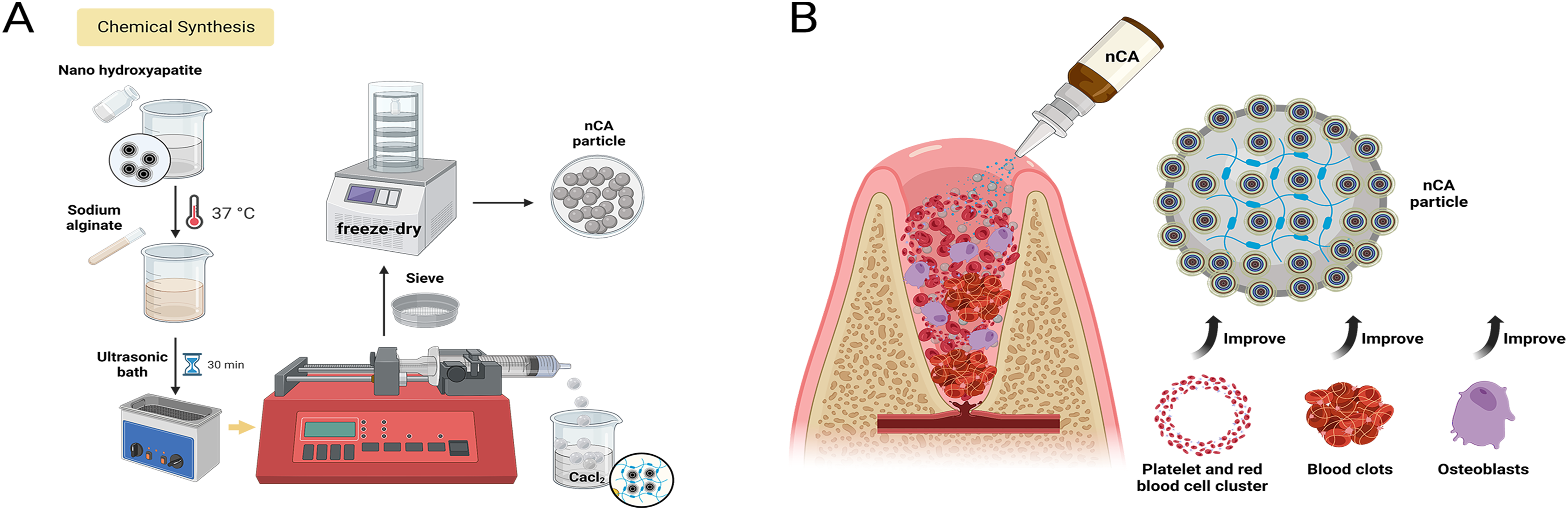 Hydroxyapatitecalcium Alginate Composite Particles For Hemostasis And