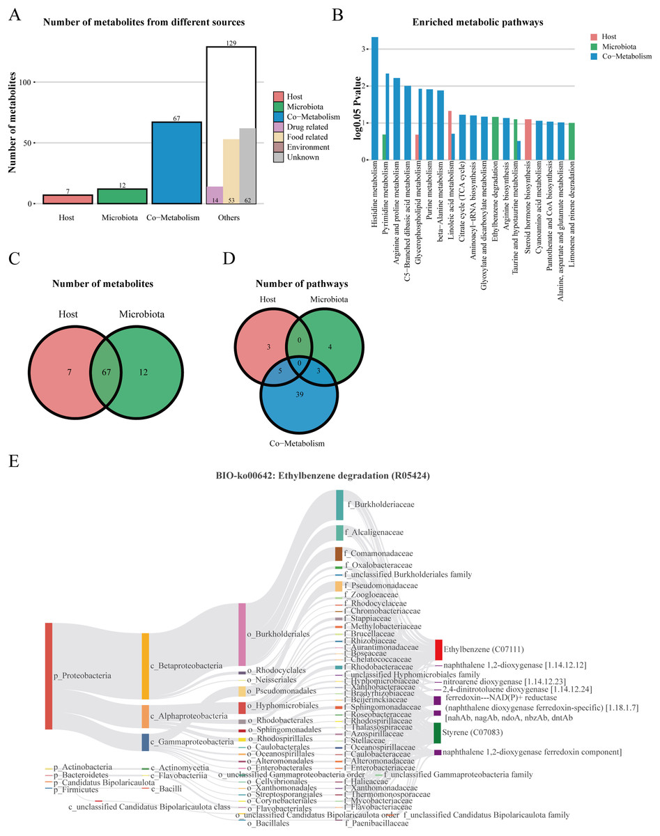 Serum Metabolomics Analysis Reveals Metabolite Profile And Key