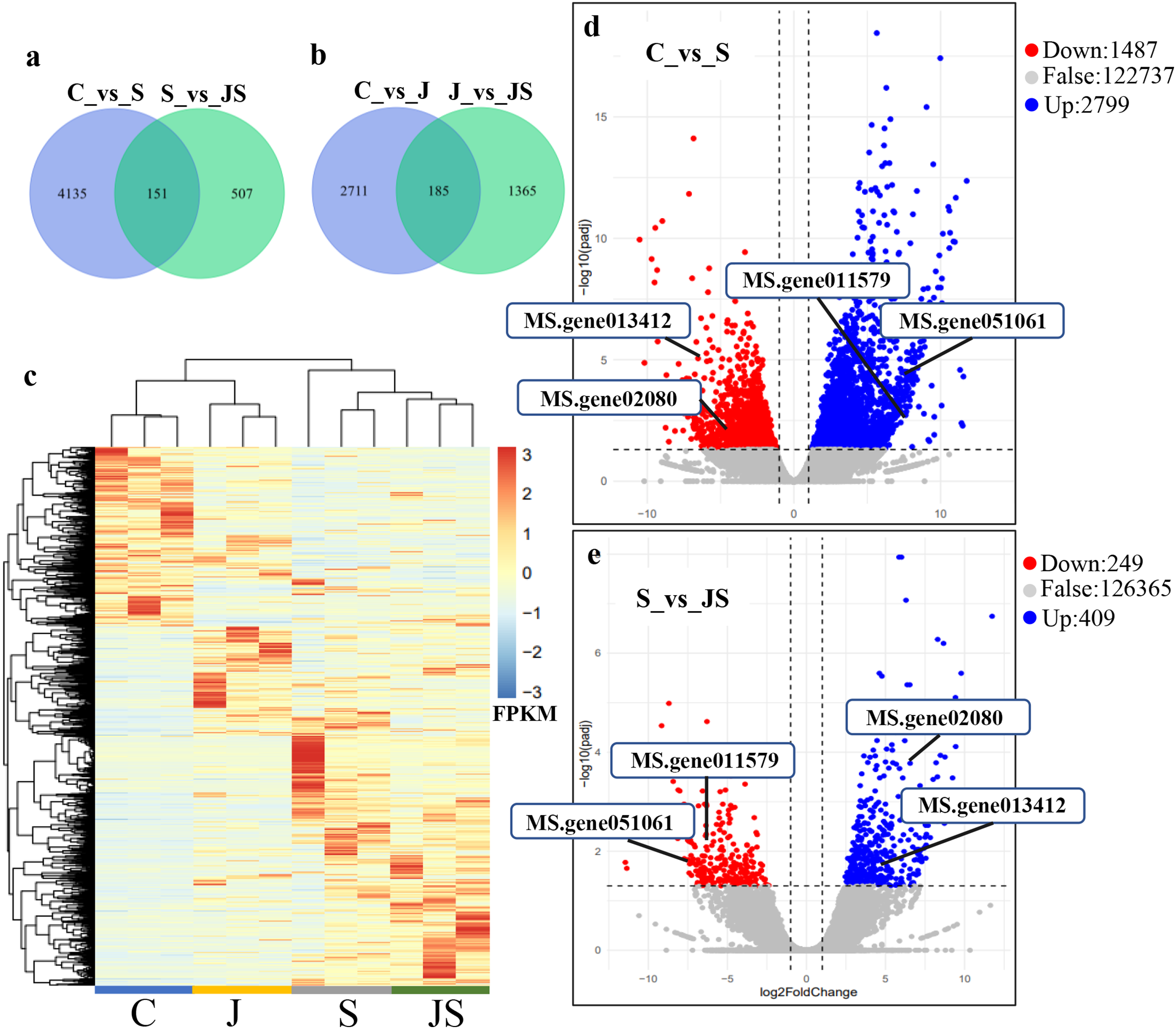 Genome Wide Transcriptomic Analysis Identifies Candidate Genes Involved