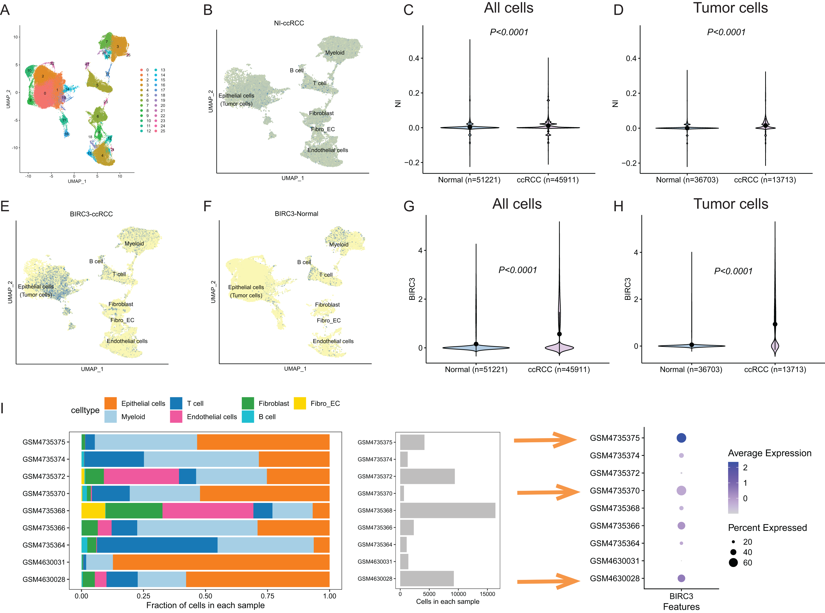 Identification And Validation Of Prognostic And Tumor Microenvironment