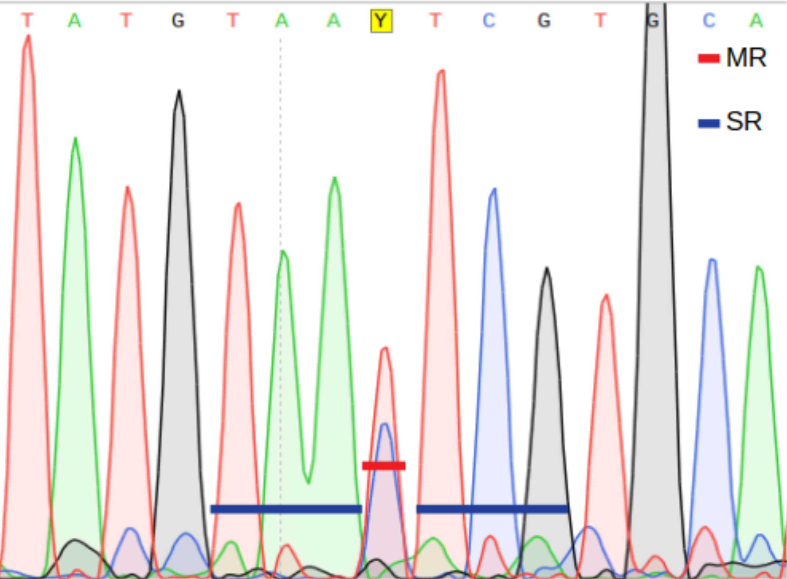 Phfinder Assisted Detection Of Point Heteroplasmy In Sanger Sequencing