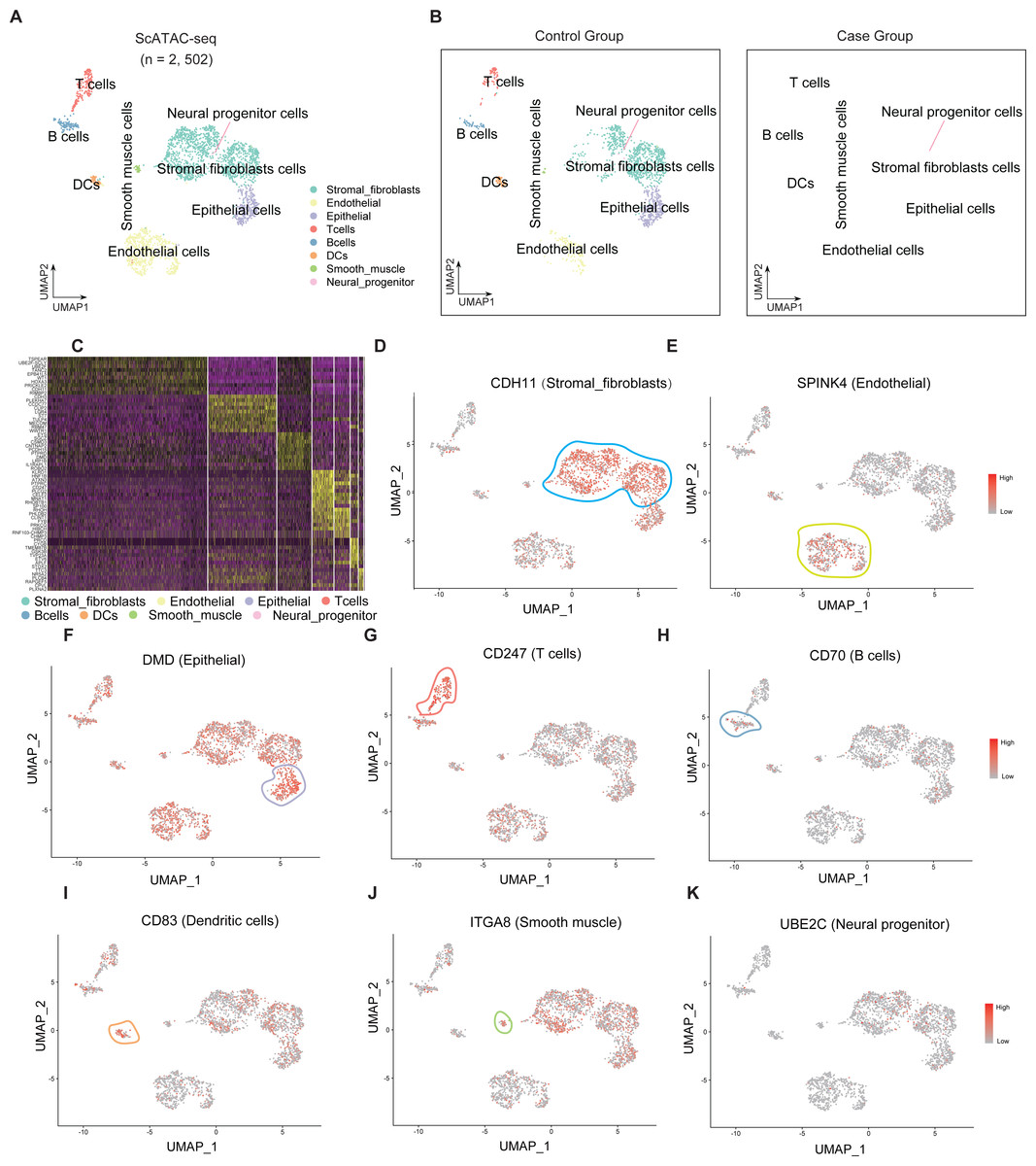 Friend Leukemia Integration 1 Overexpression Decreases Endometrial