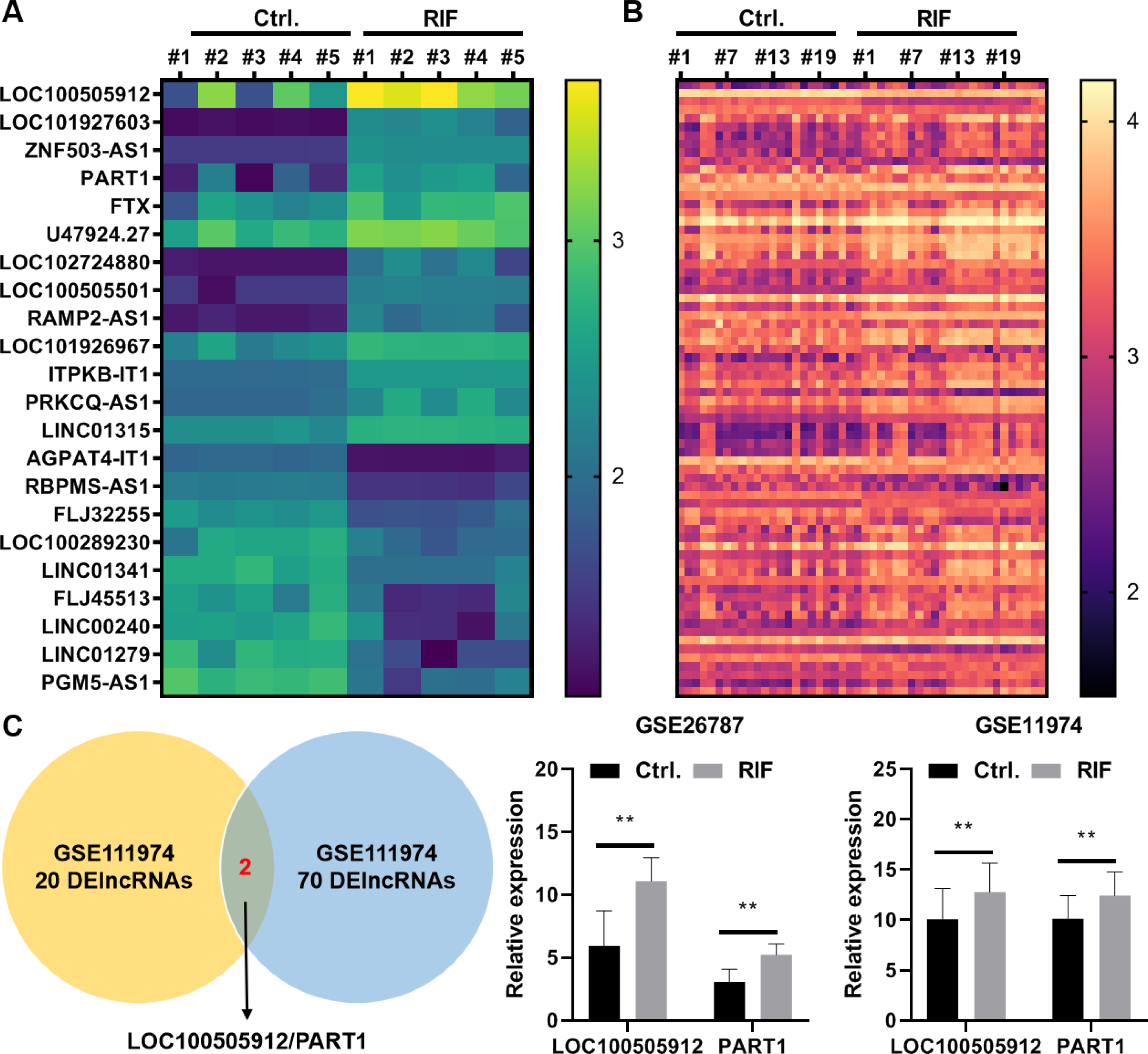 Friend Leukemia Integration 1 Overexpression Decreases Endometrial