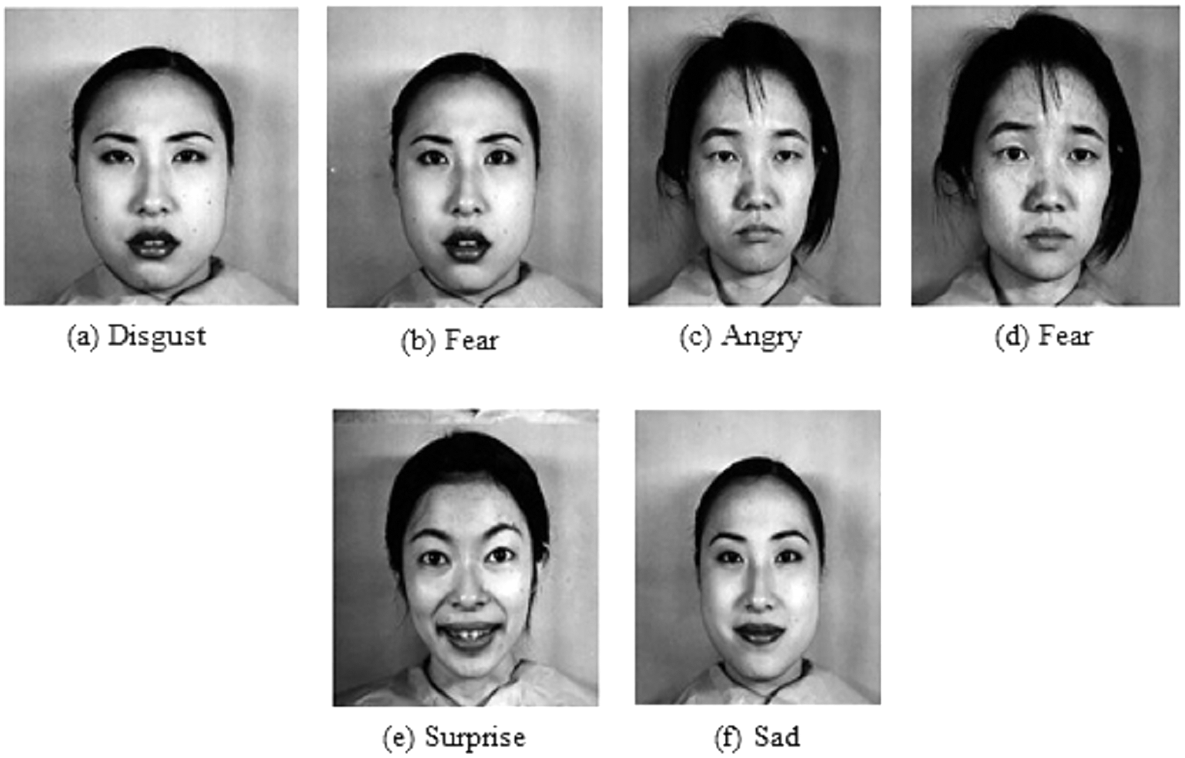 A Feature Boosted Deep Learning Method For Automatic Facial Expression