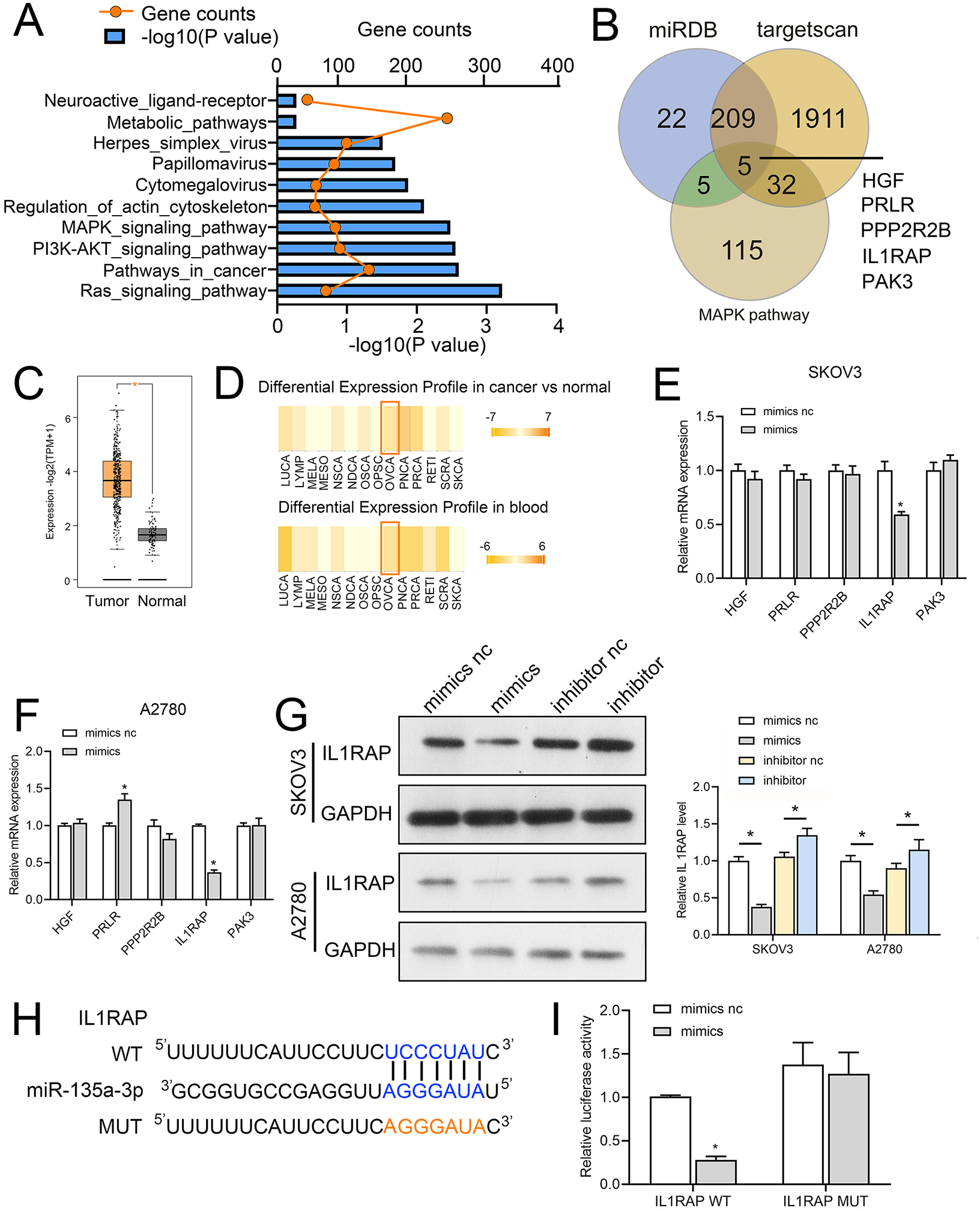 Circular Rna Circman1a2 Promotes Ovarian Cancer Progression Through The