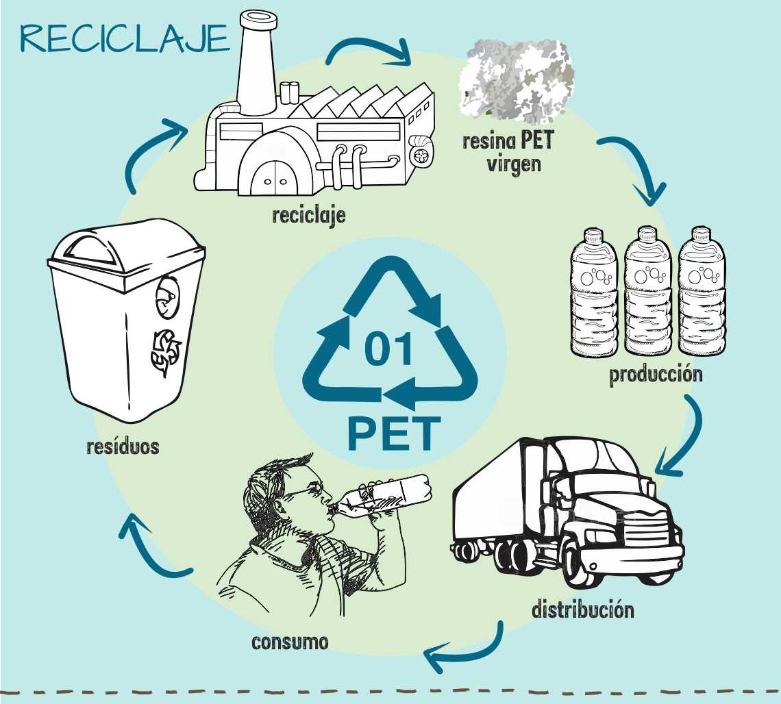 Reciclaje Del Pet ¿cómo Se Recicla Y Reusa El Pet Ecoologic