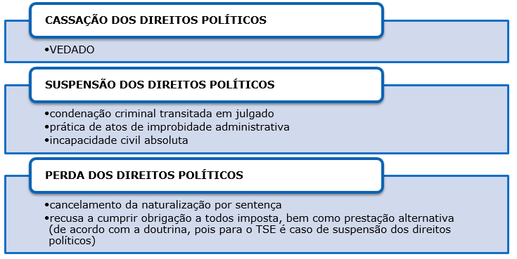 Resumo Direito Eleitoral P Tre Parte Constitucional