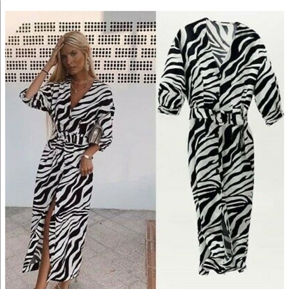 Animal Print Zebra Dress