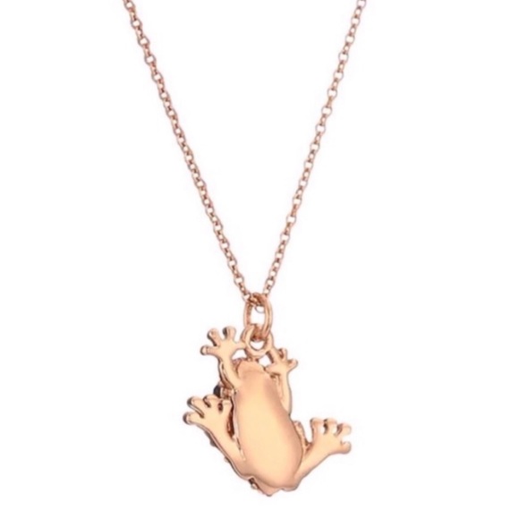 Kate Spade Jewelry Kate Spade Swamped Frog Necklace Poshmark