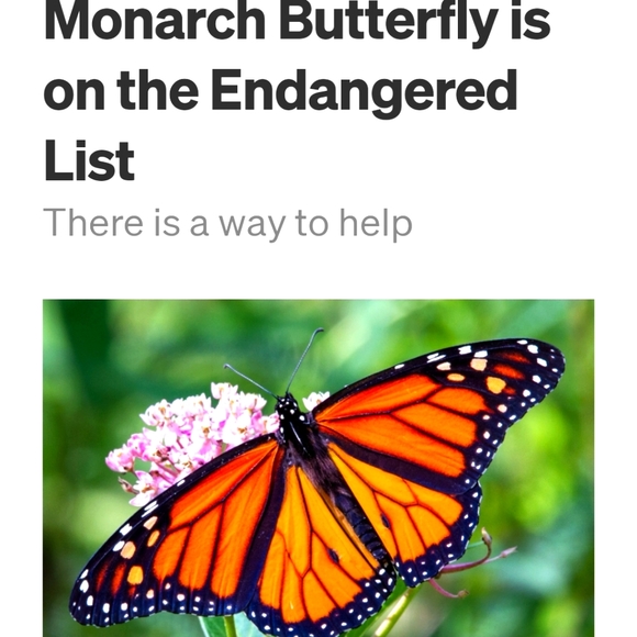 Other Help Save The Monarch Butterfly Poshmark