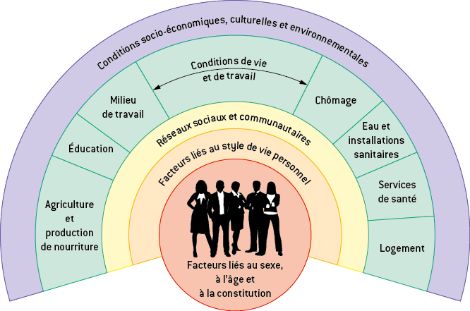 Les Déterminants De La Santé Et Du Bien être Social Digischool