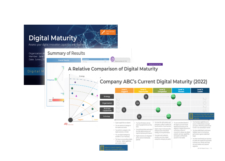 Assess Your Nonprofits Digital Maturity Info Tech Research Group