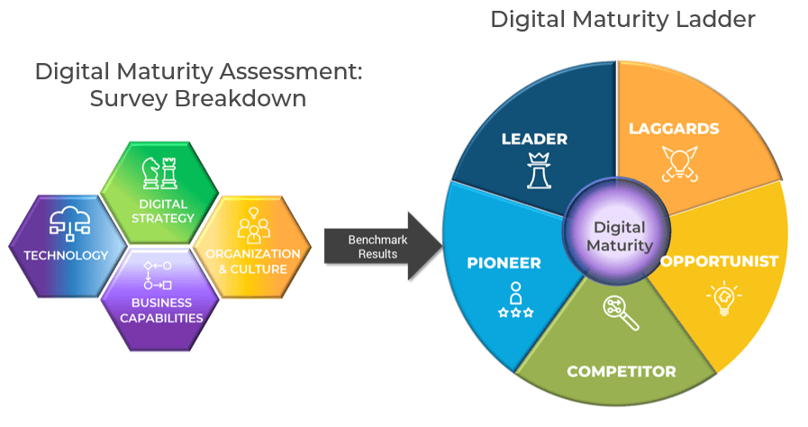 Assess Your Nonprofits Digital Maturity Info Tech Research Group