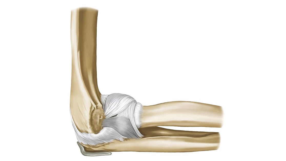 Elbow Anatomy And Symptoms