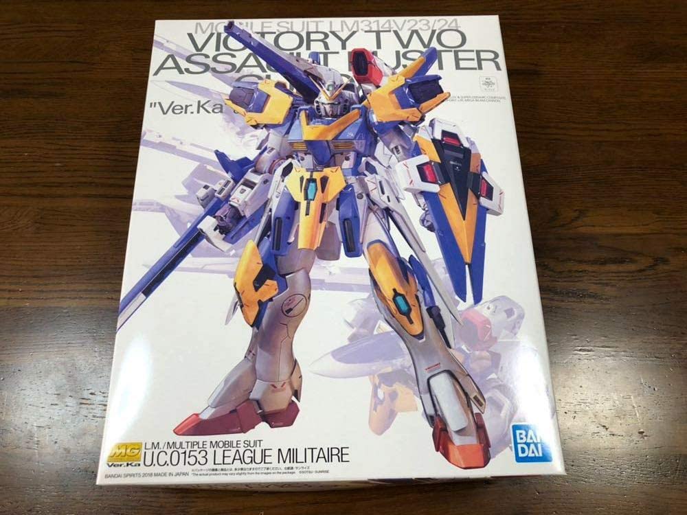 Bandai Mg 1100 V2 Assault Buster Gundam Verka Plastic Model Hobby