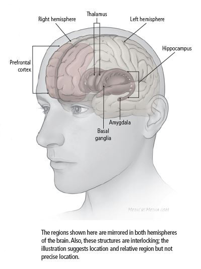 What Causes Depression Harvard Health