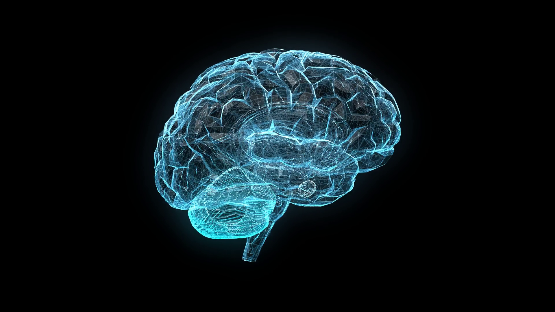 Brain Animation 3d