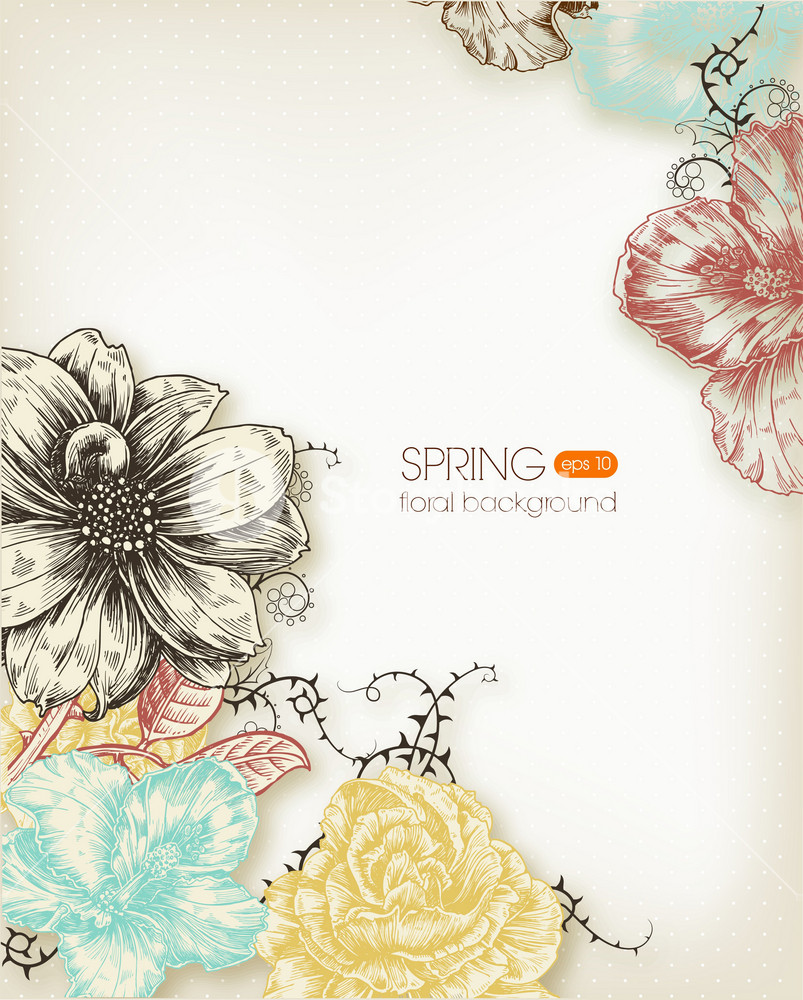 Floral Background Vector Illustration With Spring Flowers Royalty Free