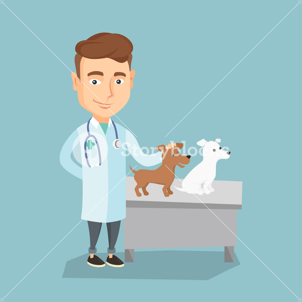 Young Caucasian Veterinarian With Stethoscope Examining Dogs In