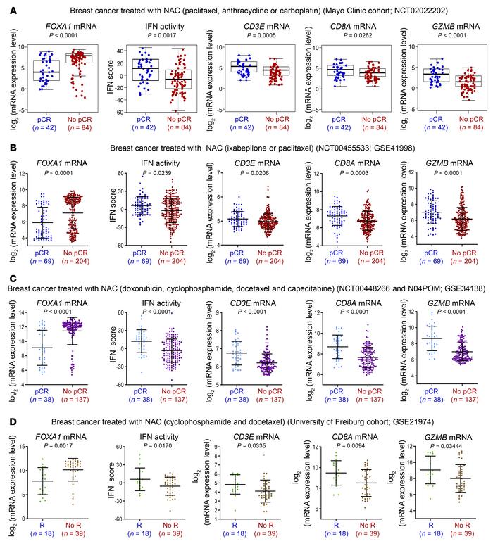 Jci Foxa1 Overexpression Suppresses Interferon Signaling And Immune