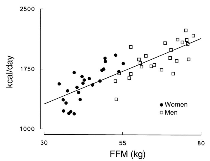 Jci Energy Expenditure Sex And Endogenous Fuel Availability In Humans