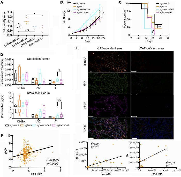 Jci Cancer Associated Fibroblast Secreted Glucosamine Alters The