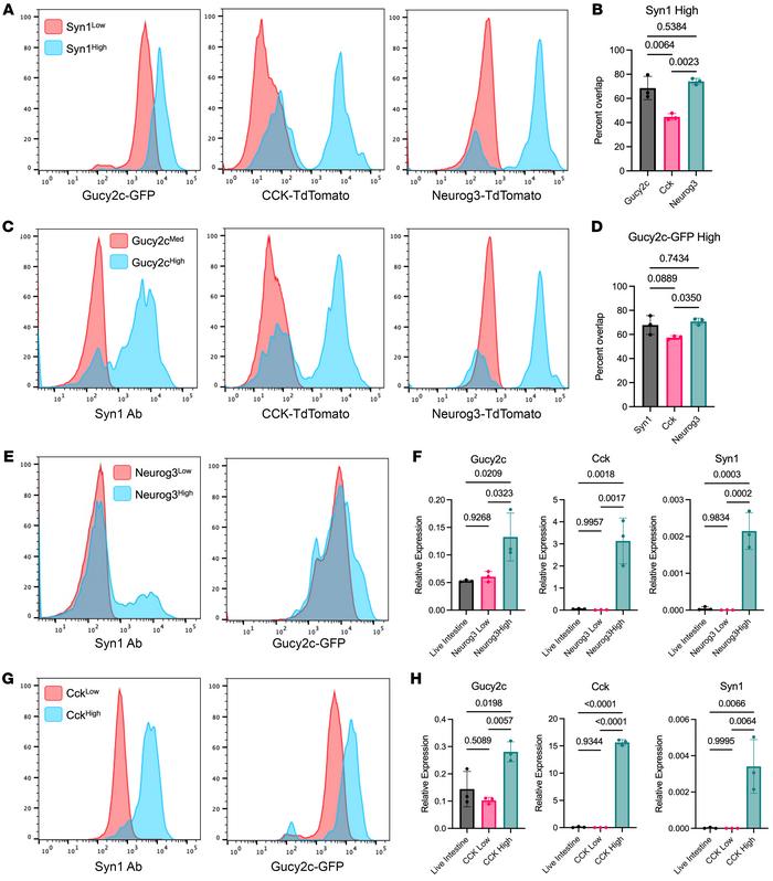 Jci Intestinal Neuropod Cell Gucy2c Regulates Visceral Pain