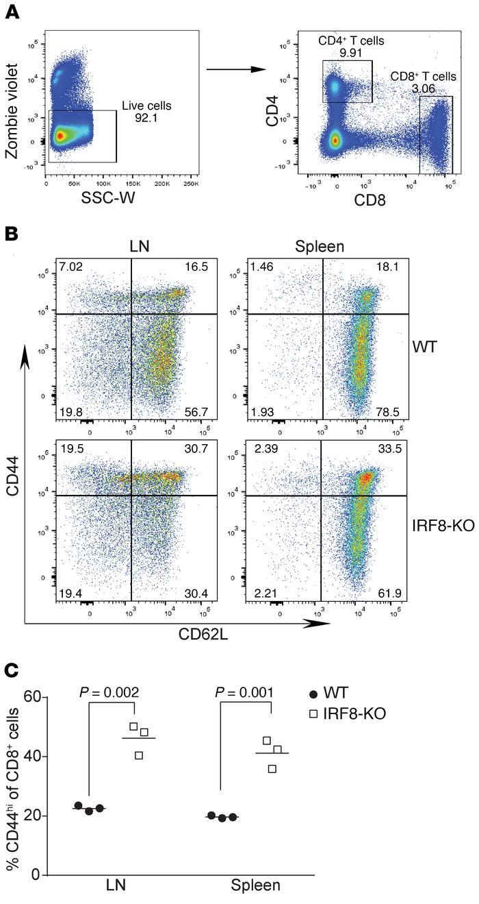 Jci An Osteopontincd44 Immune Checkpoint Controls Cd8 T Cell