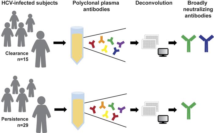 Jci Plasma Deconvolution Identifies Broadly Neutralizing Antibodies