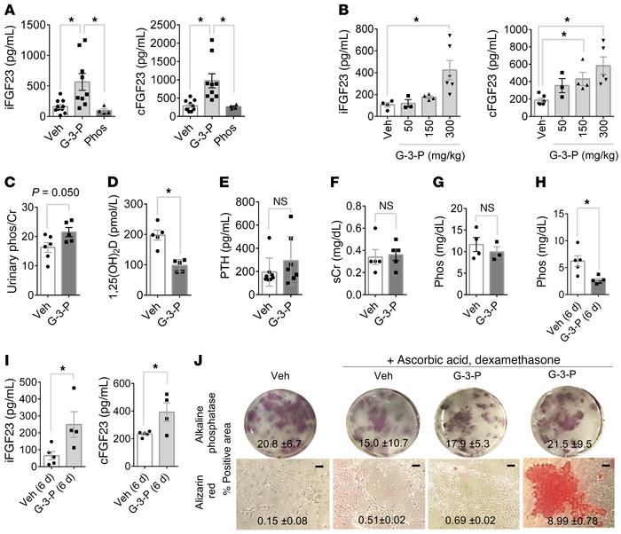 Jci Glycerol 3 Phosphate Is An Fgf23 Regulator Derived From The