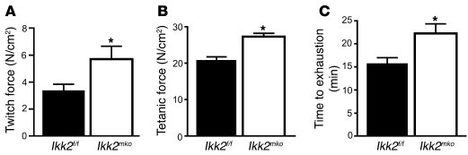 Jci Targeted Ablation Of Ikk2 Improves Skeletal Muscle Strength