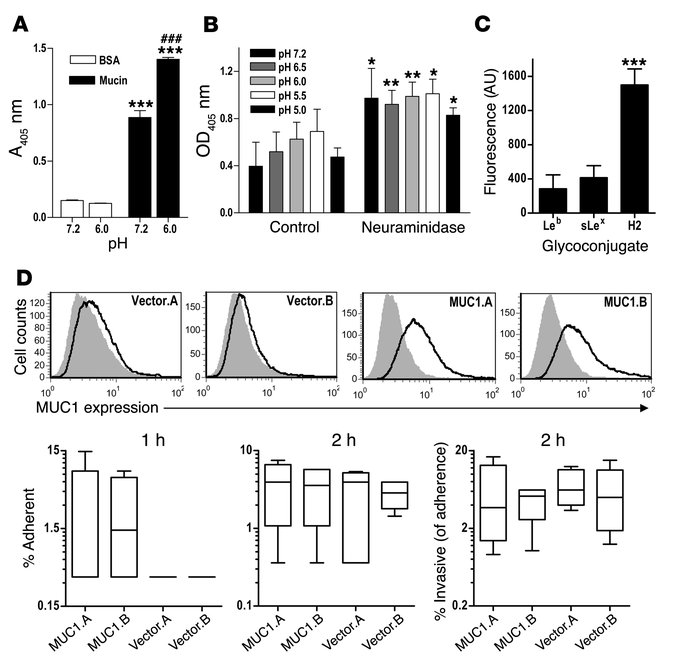 Jci Muc1 Cell Surface Mucin Is A Critical Element Of The Mucosal