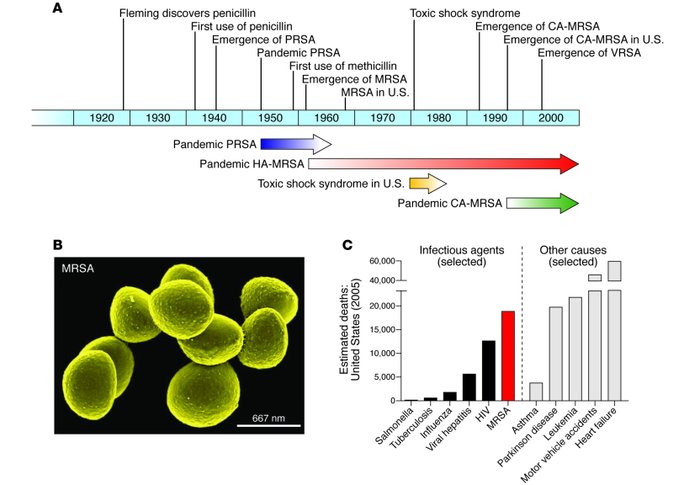 Jci Reemergence Of Antibiotic Resistant Staphylococcus Aureus In The