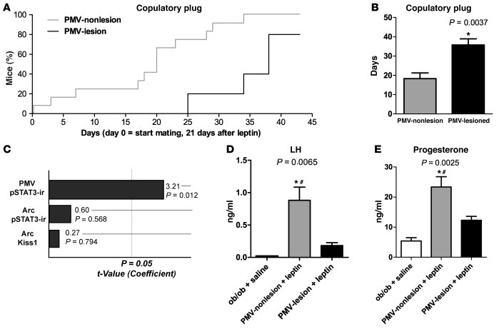 Jci Leptins Effect On Puberty In Mice Is Relayed By The Ventral