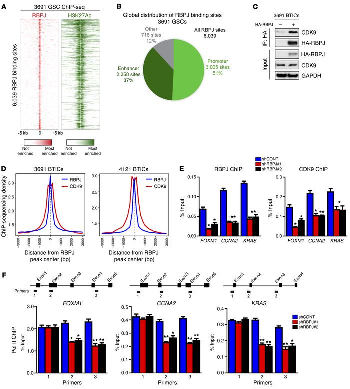 Jci Rbpj Maintains Brain Tumorinitiating Cells Through Cdk9 Mediated