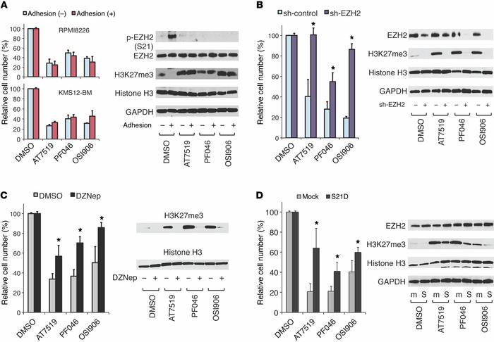 Jci Phosphorylation Mediated Ezh2 Inactivation Promotes Drug