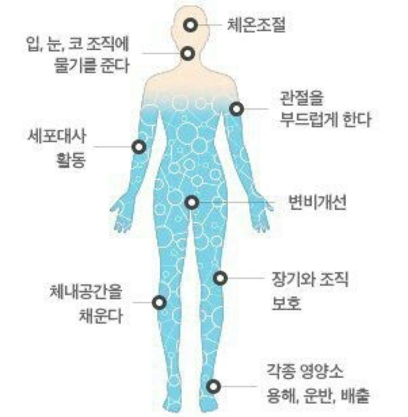 물 마셔야하는 이유 세종특별자치시 조치원읍 비즈프로필