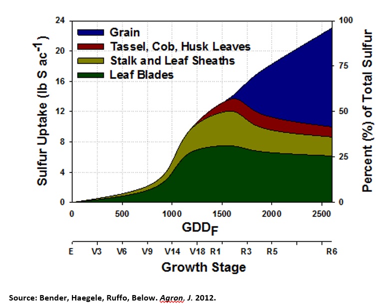 3 Key Questions For Sulfur Application Croplife