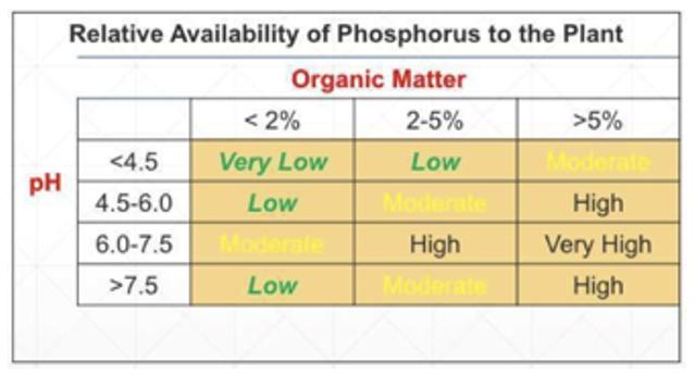 How To Effectively Manage Phosphorus Levels In The Soil Croplife