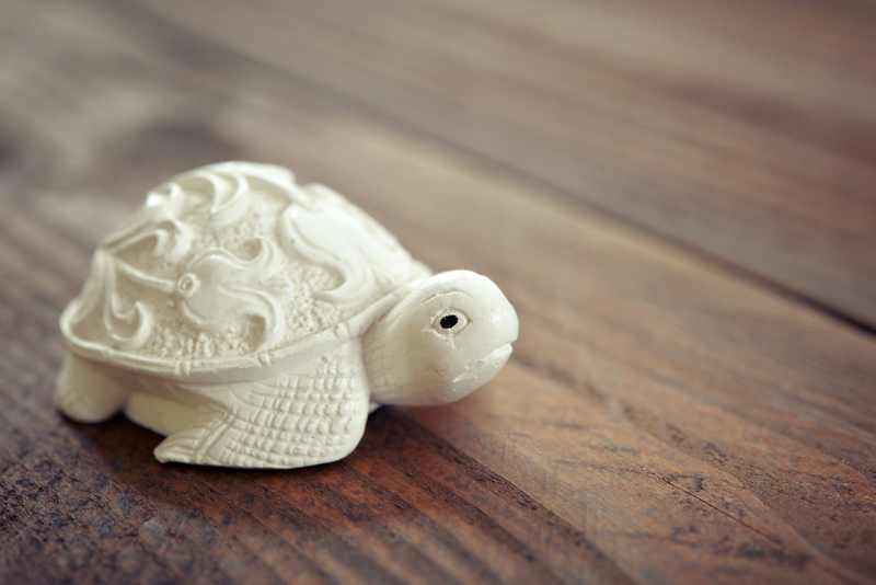 Feng Shui Tips For Placing Tortoise For Good Luck Wealth