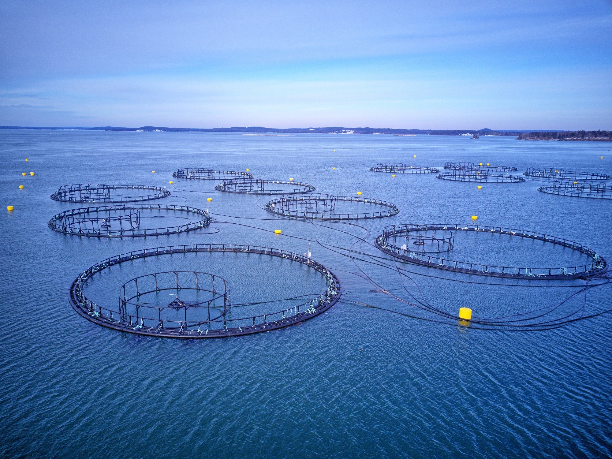 Smart Seas Revolutionizing Aquaculture With Aiot And Digital Twin