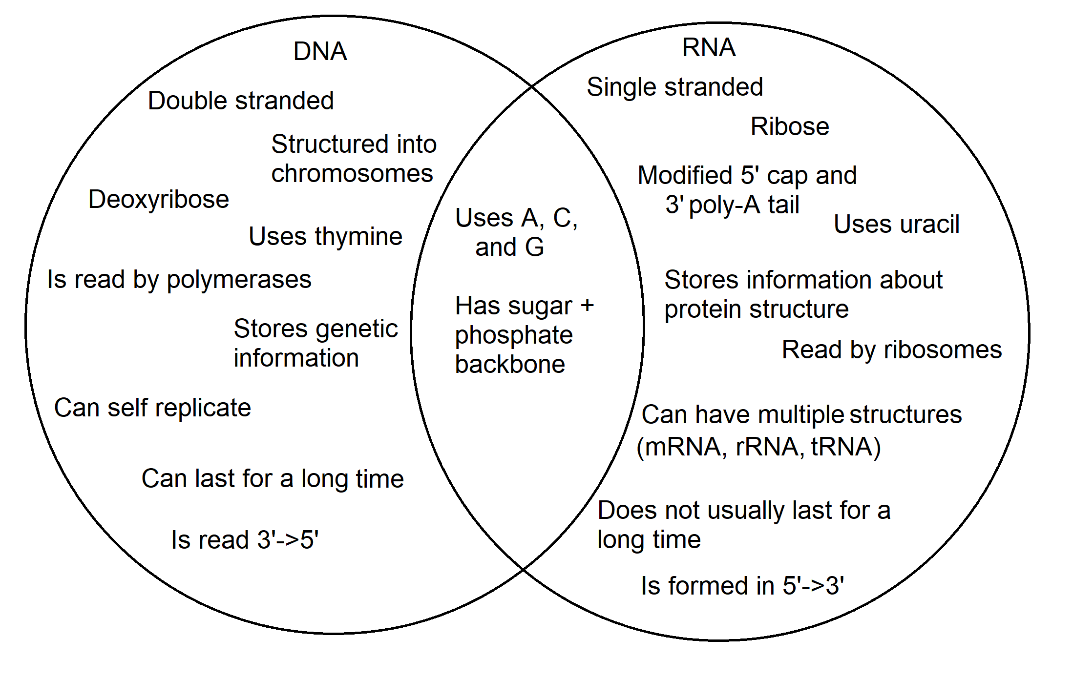 Dna Vs Rna Expii