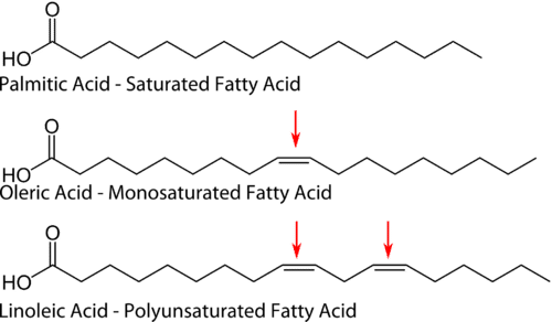 271 Waxes Fats And Oils Chemistry Libretexts